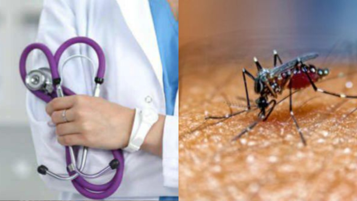 Chandipura Virus: Here's What Doctors Say About Deadly Infection ...