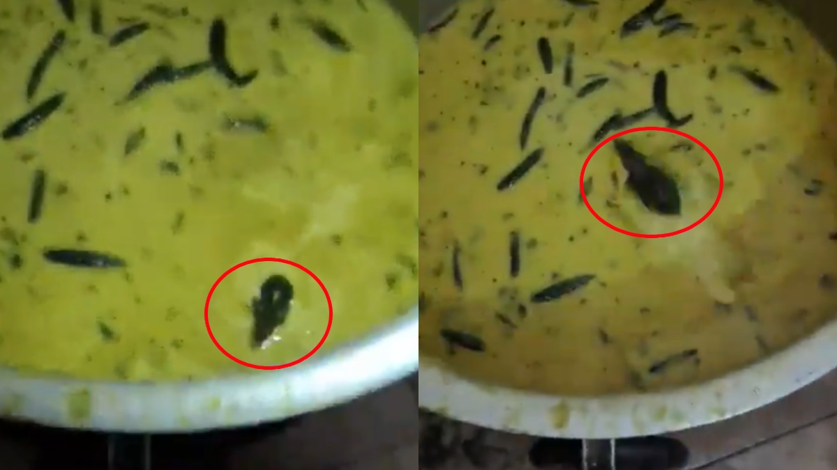 Hyderabad Viral Video: Students Find Rat In 'Chutney' At Jawaharlal ...