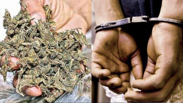 Hyderabad: Woman Arrested For Selling 'Ganja' In Turmeric Packets ...
