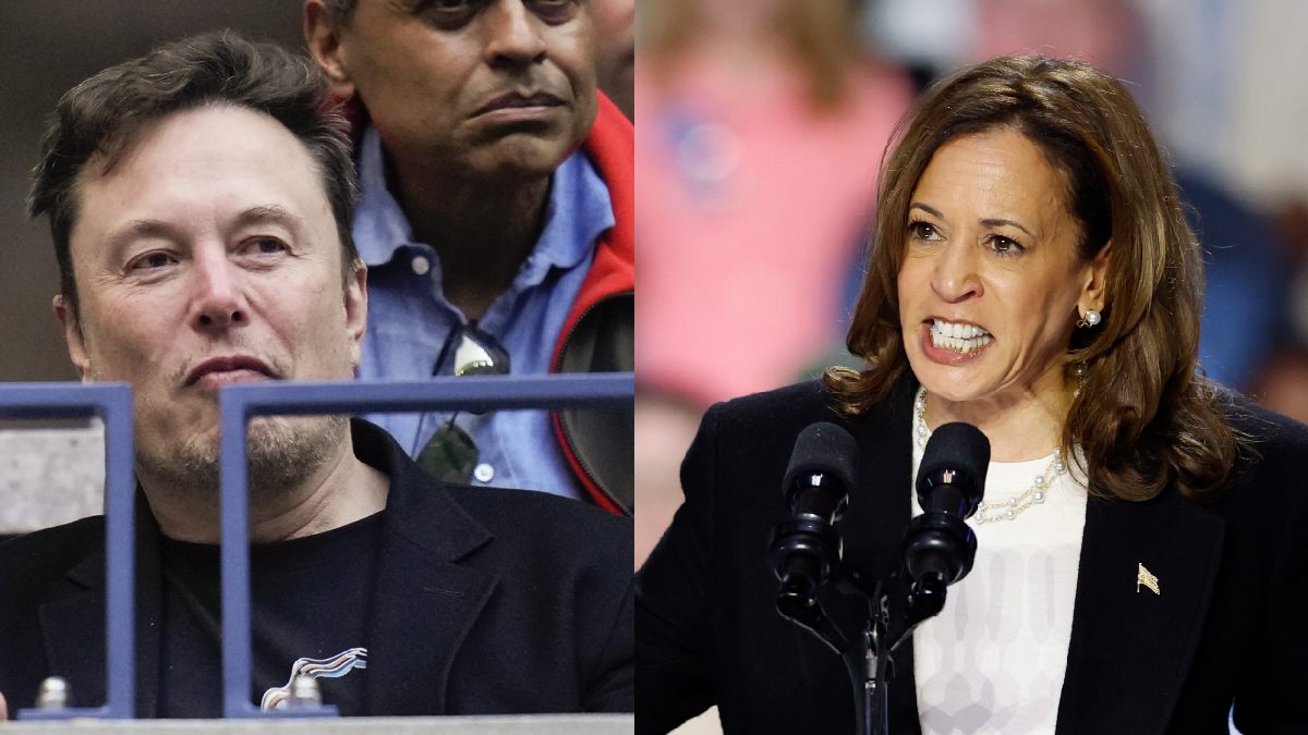 Musk's Team Backs Harris: Tesla, SpaceX, And X Donations Favor Kamala ...