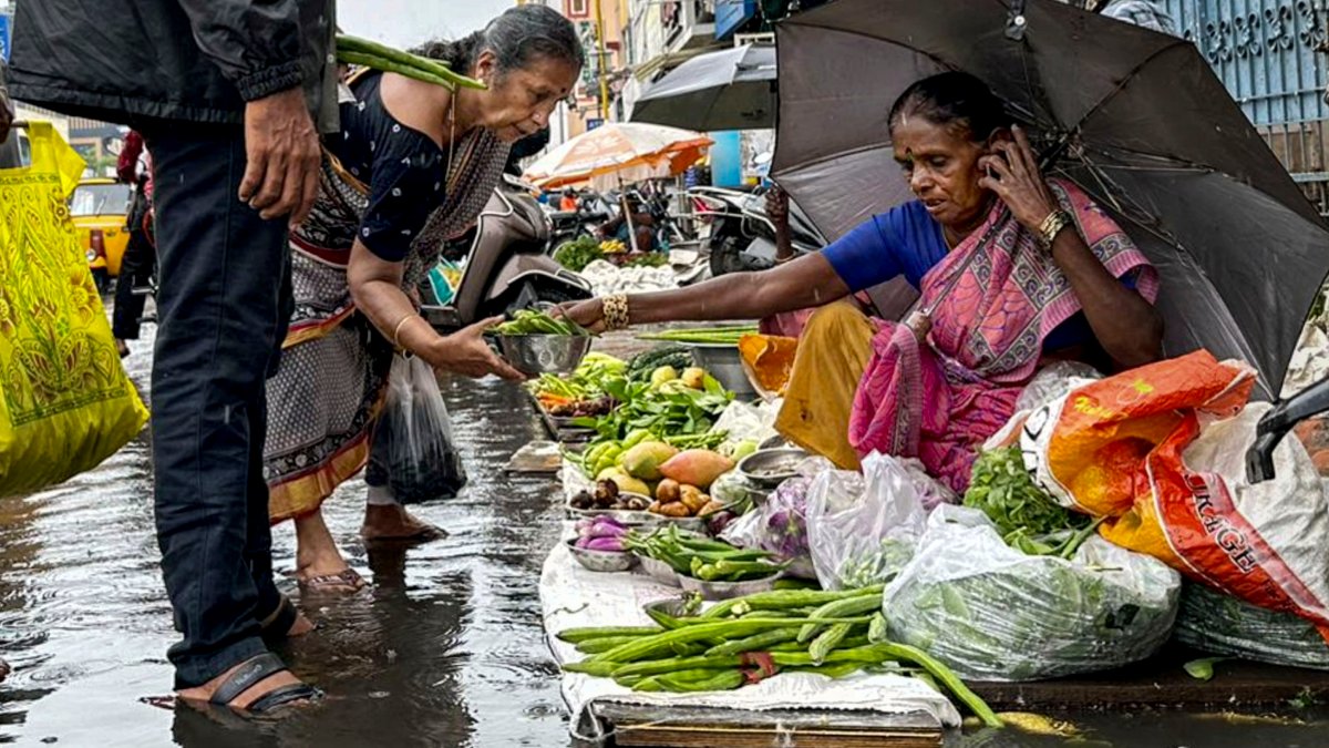 Vegetable Price In Chennai: What's Costlier, What's Cheaper In ...