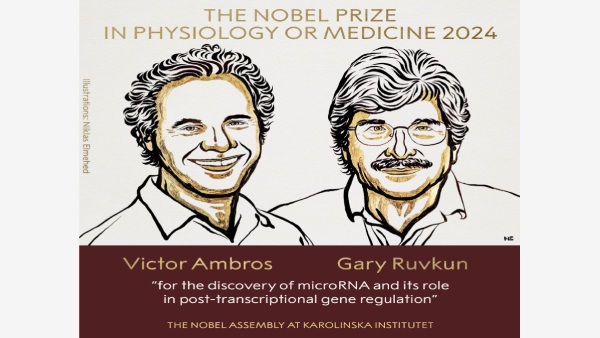 Nobel Prize 2024 In Medicine Awarded To Victor Ambros, Gary Ruvkun For Discovering miRNA ...