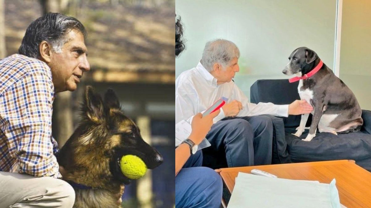 When Ratan Tata Skipped British Royal Award To Take Care For His Sick ...