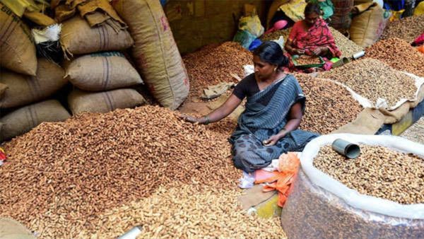 Kadalekai Parishe 2024: Bengaluru’s Iconic Groundnut Fair on November ...
