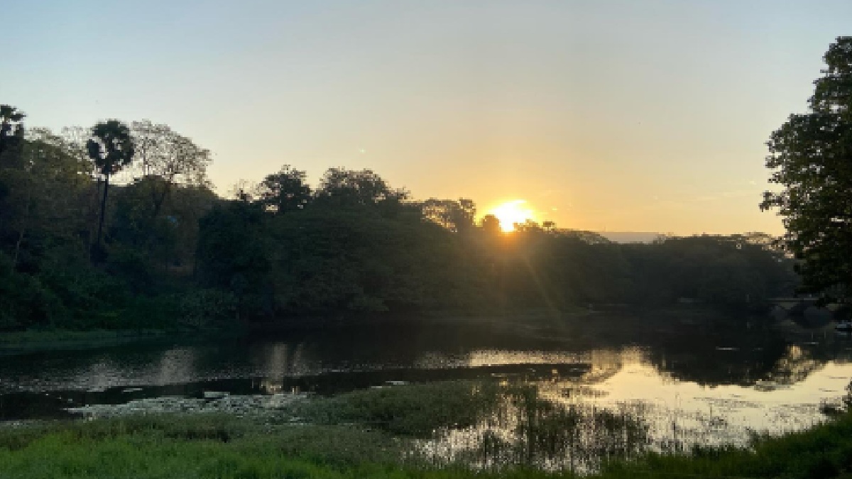 Maharashtra Assembly Election 2024: Three Senas Battle Over ...