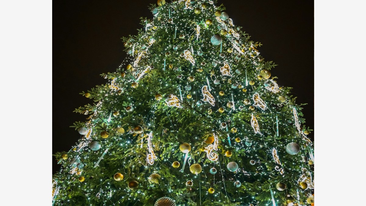 How The Christmas Tree Became The Heart Of Christmas Celebrations ...