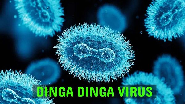 Dinga Dinga Virus Raises Global Health Concerns in Uganda - Oneindia News