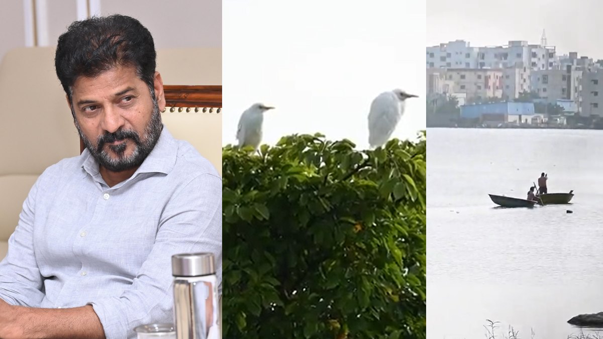 Revanth Reddy's Green Vision: Pioneering Telangana's Path to Climate ...