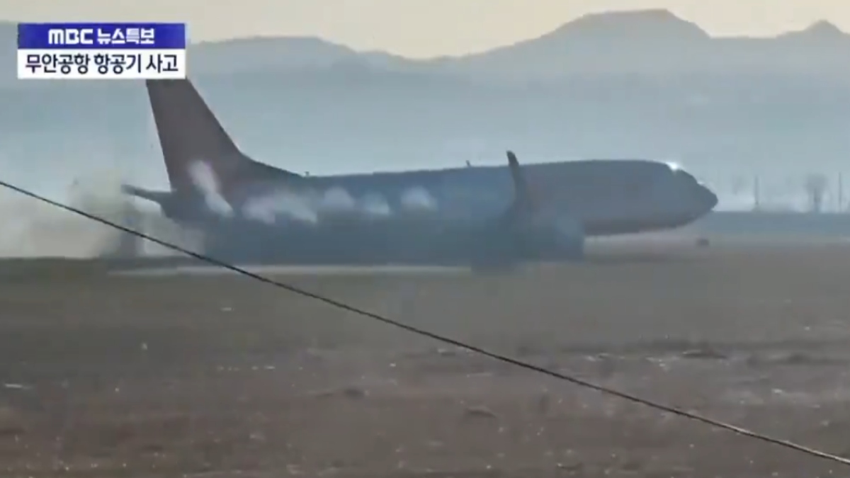 South Korea Plane Crash: Jeju Air Flight Erupts in Fireball, Chilling Video Surfaces - Oneindia News