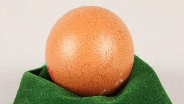 One-In-A-Billion Round Egg Auctioned For £200 To Support Youth Mental ...