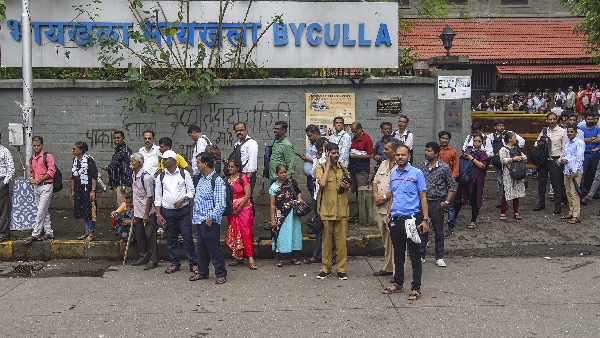 Mumbai's BEST Bus Services Update: Speed Drops, Wait Times Soar; Can ...