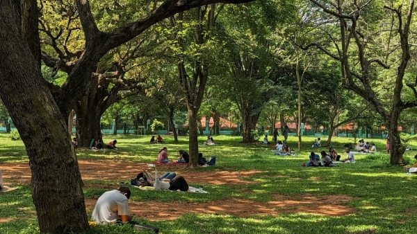 Bengaluru's Cubbon Park Opens Doors To Traffic For 3 Hours On Every ...