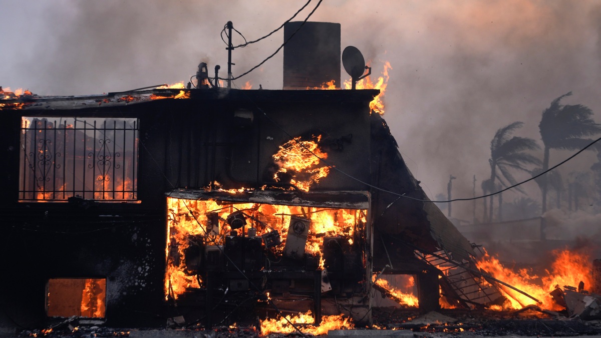 Los Angeles Wildfire: Why Firefighters Are Finding It Hard To Stop The ...