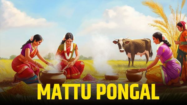 Mattu Pongal Celebration: Honouring Cattle in Tamil Nadu - Oneindia News