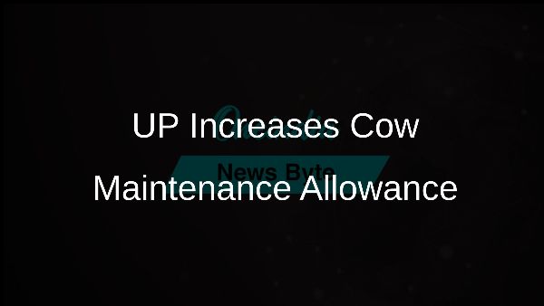 UP Government Increases Daily Cow Maintenance Allowance Under Mukhyamantri Sahbhagita Yojana ...
