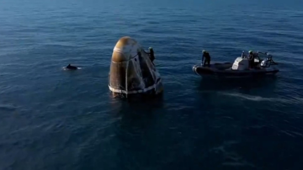 Sunita Williams, Crew Welcomed By Dolphin Pod As SpaceX Capsule Splashes Down Safely; Video ...