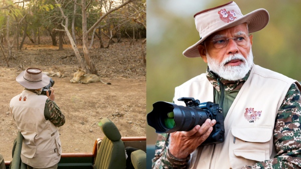 PM Modi Goes On Safari In Gir Lauds Tribals For Preserving Habitat Of ...