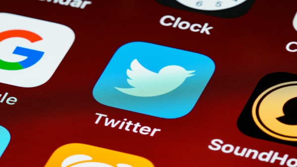 Twitter's iconic bird logo sells for nearly $35,000 at auction ...