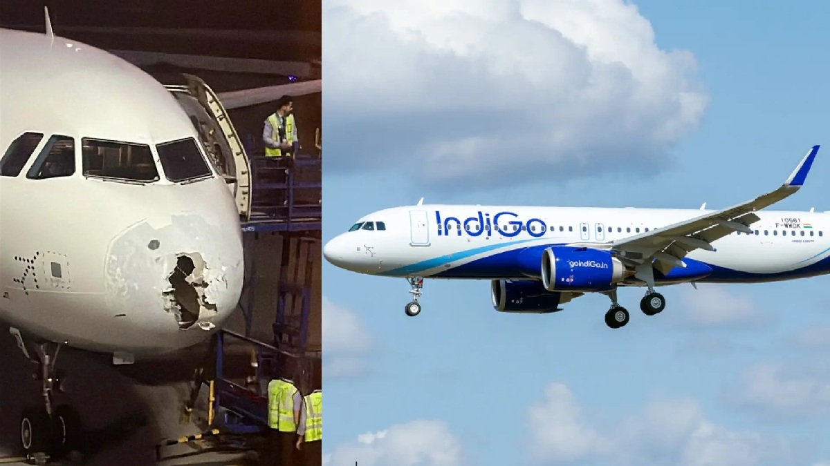IndiGo's 'Damaged Nose' Delhi To Srinagar Flight Lands Safely After ...