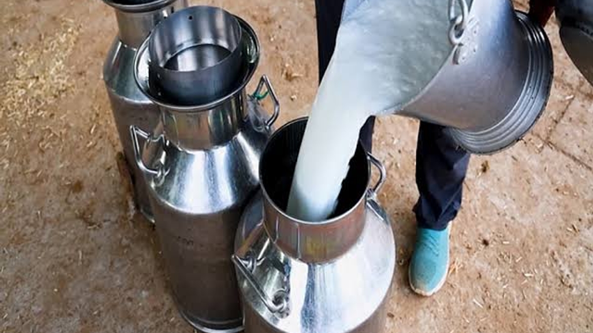 Bihar Cabinet Approves Dairy Plants And Infrastructure Projects ...