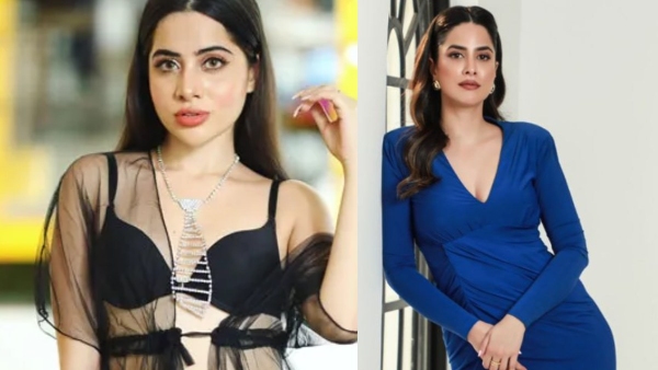 The Traitors India Winner: Uorfi, Nikita Unmask Harsh Gujral After ...