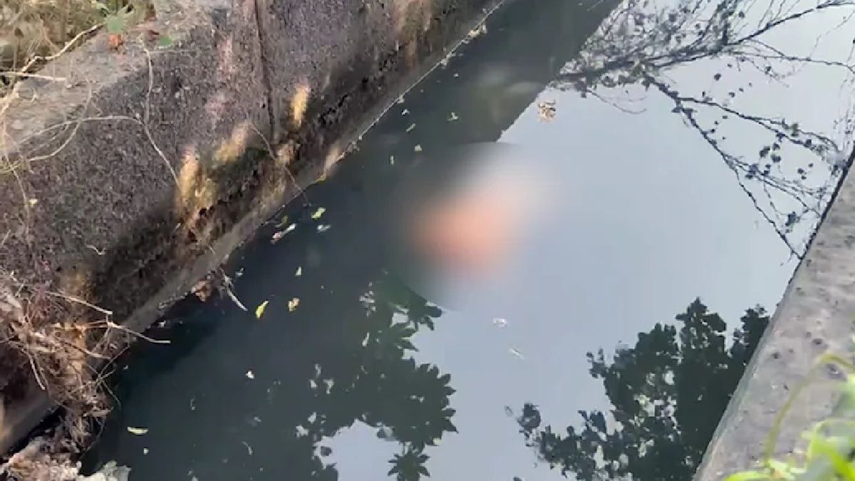 Investigation Launched After Dismembered Body Found In Noida Drain ...
