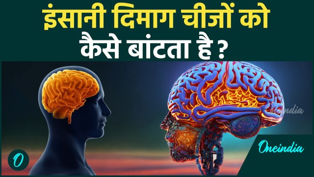 Human Brain Science: इंसान के दिमाग में चीजें कैसे स्टोर होती हैं ...