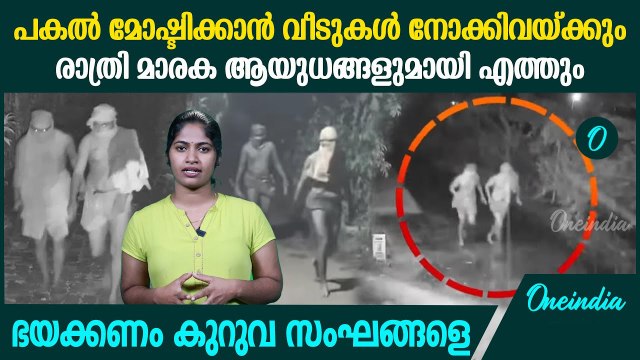 ചില്ലറക്കാരല്ല കുറുവ സംഘങ്ങൾ ; ഉപയോ ഗക്കുന്ന ക്രൂര രീതികളിങ്ങനെ ...