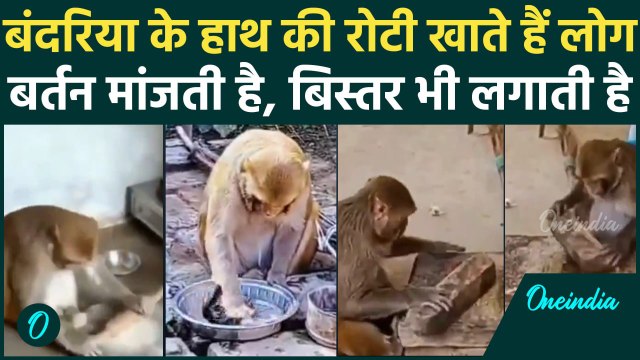 Raibareli में Rani Bandariya ने संभाली गृहस्थी, रोटी बेलने से बर्तन ...