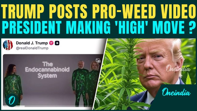 Trump Shares Pro-Weed Video Amid DEA Review | Could Move Marijuana To Schedule III ...