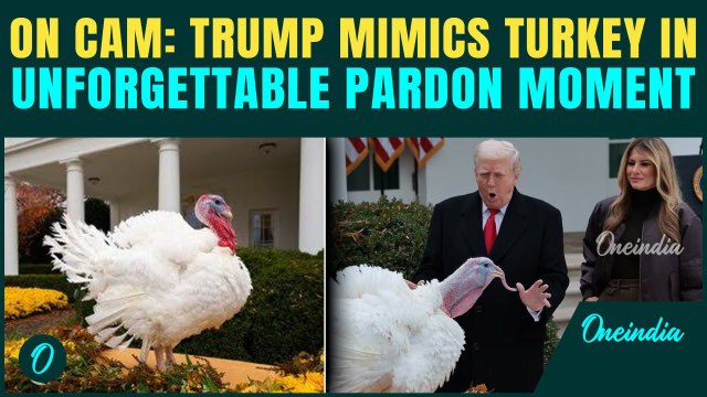 Trump MIMICS Turkey GOBBLE in FUNNIEST White House Turkey Pardon Moment ...