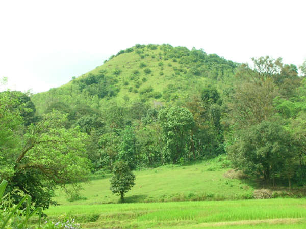 ಚಾರಣಿಗರ ಕೈಬೀಸಿ ಕರೆಯುವ ಕೊಡಗಿನ ಭತ್ತದರಾಶಿ ಬೆಟ್ಟ | Bhattada Rashi Betta ...