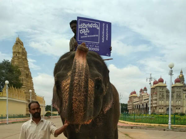 Rally for Rivers ಗೆ ಮೈಸೂರು ಆನೆರಾಯನ ಬೆಂಬಲ! | Good response to Sadhguru ...
