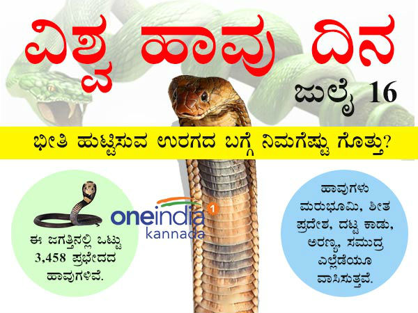 ವಿಶ್ವ ಹಾವು ದಿನ: ಭಯ ಹುಟ್ಟಿಸುವ ಉರಗದ ಬಗ್ಗೆ ನಿಮಗೆಷ್ಟು ಗೊತ್ತು? | World snake ...