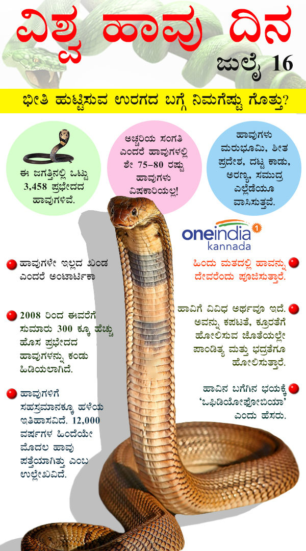 ವಿಶ್ವ ಹಾವು ದಿನ: ಭಯ ಹುಟ್ಟಿಸುವ ಉರಗದ ಬಗ್ಗೆ ನಿಮಗೆಷ್ಟು ಗೊತ್ತು? | World snake ...
