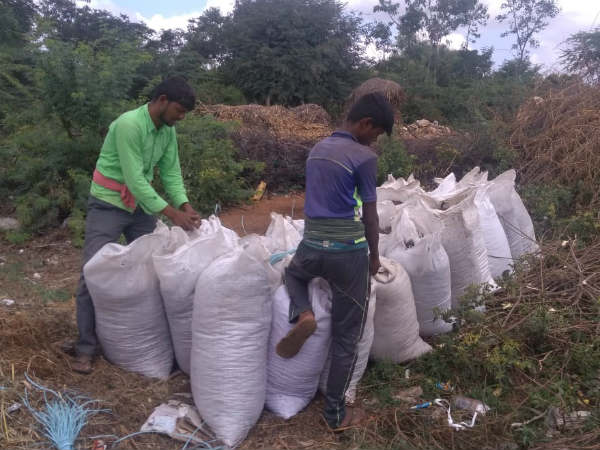 ಬಳ್ಳಾರಿ ಸೀಮೆಯ ಕುರಿ ಹಿಕ್ಕೆಗೆ ಮಲೆನಾಡಿನಲ್ಲಿ ಭಾರೀ ಡಿಮ್ಯಾಂಡ್ | Bellary sheep ...