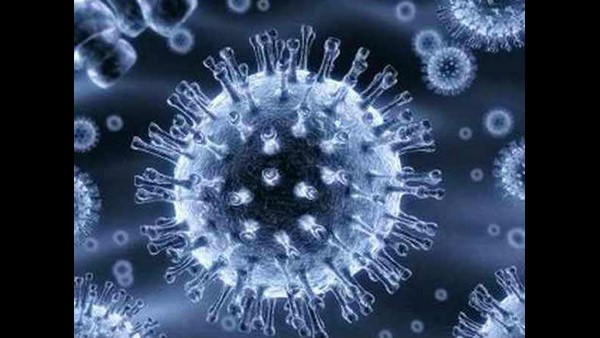 Fact Check What Is Yara Virus And Its Effects : ಬ್ರೆಜಿಲ್‌ನ 'ಯಾರಾ' ವೈರಸ್ ...