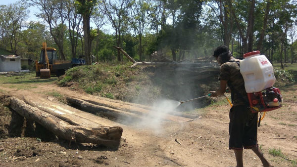 Ramapura Elephant Camp : ಪ್ರಾಣಿಗಳಿಗೂ ಕೊರೊನಾ; ರಾಮಾಪುರ ಆನೆ ಶಿಬಿರದತ್ತ ...