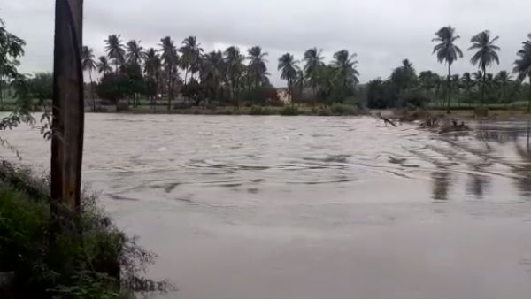 ಭರ್ತಿ ಹಂತಕ್ಕೆ ನವಿಲು ತೀರ್ಥ ಜಲಾಶಯ; 10 ಸಾವಿರ ಕ್ಯೂಸೆಕ್ಸ್ ನೀರು ಬಿಡುಗಡೆ | 10 ...