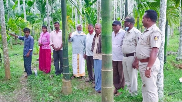 Hassan 39 Monkeys Killing Case : 39 ಮಂಗಗಳ ಮಾರಣಹೋಮ ಪ್ರಕರಣಕ್ಕೆ ಟ್ವಿಸ್ಟ್ ...