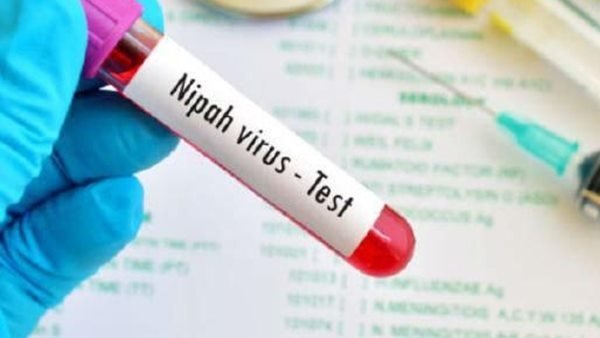 ನಿಪಾ ವೈರಸ್‌ ರೋಗಿಯ 8 ಸಂಪರ್ಕಿತರಿಗೆ ನೆಗೆಟಿವ್‌: ಕೇರಳ ಸಚಿವೆ | 8 Who Came In ...