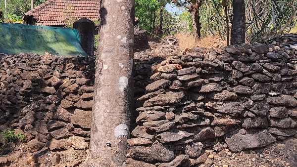 ಅಜ್ಜಿಯ ಸಾಹಸ; ಎಕರೆ ಜಾಗಕ್ಕೆ ಏಕಾಂಗಿಯಾಗಿ ಕಲ್ಲಿನ ಕೋಟೆ ನಿರ್ಮಾಣ | Karkala Old ...