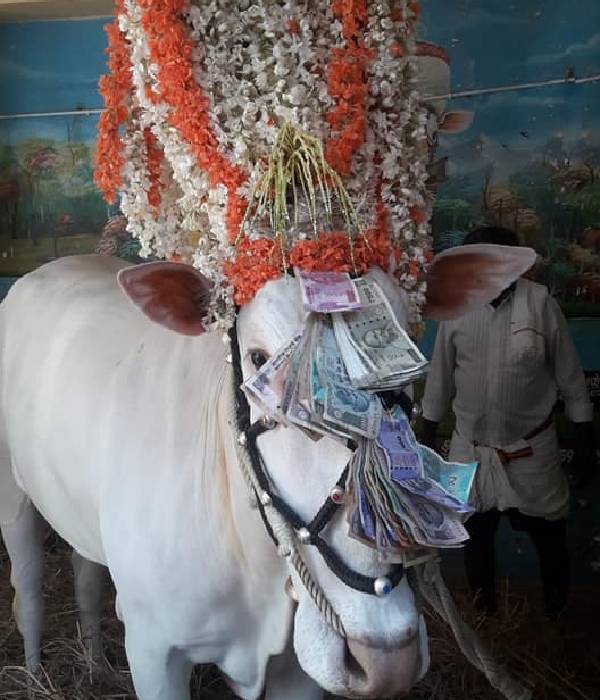 ವಿಸ್ಮಯ: ಸ್ಥಳದಲ್ಲೇ ದೇವಸ್ವರೂಪಿ ಮಂಟೇಸ್ವಾಮಿ ಬಸಪ್ಪನ ಪವಾಡ ಕಂಡು ನಿಬ್ಬೆರಗಾದ ಜನ ...