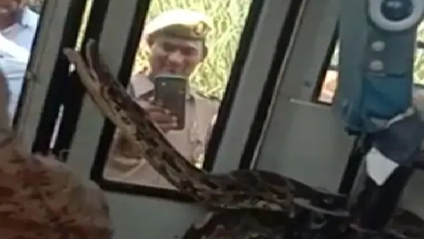 ವಿಡಿಯೋ: ಮೇಕೆ ತಿಂದು ಸ್ಕೂಲ್ ಬಸ್ಸಿನೊಳಗೆ ಕುಳಿತ ಬೃಹತ್ ಹೆಬ್ಬಾವು | Video: Huge ...