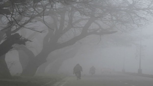 ದೆಹಲಿಯಲ್ಲಿ ಹೆಚ್ಚಾದ ಚಳಿ: ಎಲ್ಲೆಡೆ ದಟ್ಟ ಮಂಜು- ವಾಹನ ಸವಾರರ ಪರದಾಟ | Delhi ...