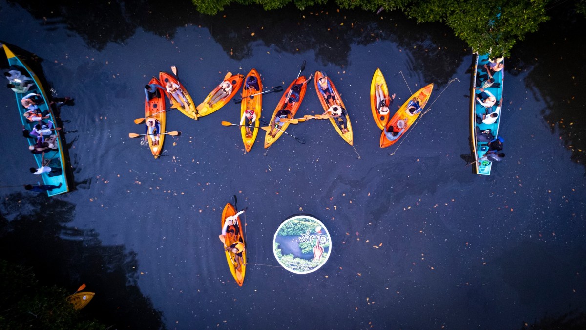 ಉಡುಪಿ; ಮಾಂಗ್ರೋವ್ ವನದ ನಡುವೆ ಮೂಡಿದ ಮತದಾನ ಜಾಗೃತಿ | Voting Awareness ...