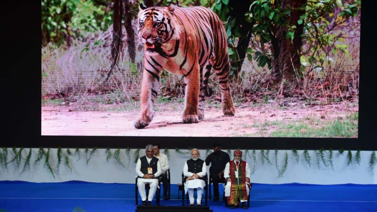 ಭಾರತದಲ್ಲಿವೆ 3,167 ಹುಲಿಗಳು: ಮೈಸೂರಿನಲ್ಲಿ ವರದಿ ಬಿಡುಗಡೆ ಮಾಡಿದ ಪ್ರಧಾನಿ ...