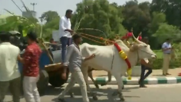 Video: ಪ್ರಮಾಣವಚನ ಸ್ವೀಕರಿಸಲು ಎತ್ತಿನ ಗಾಡಿಯಲ್ಲಿ ವಿಧಾನಸೌಧಕ್ಕೆ ಆಗಮಿಸಿದ ಮಂಡ್ಯ ...