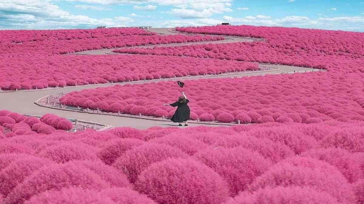Pink Park: 'ಮಹಿಳೆಯರಿಗಾಗಿಯೇ ತೆರೆಯಲಾದ ವಿಶೇಷ ಉದ್ಯಾನವನಗಳು' - ಪುರುಷರಿಗೆ ...
