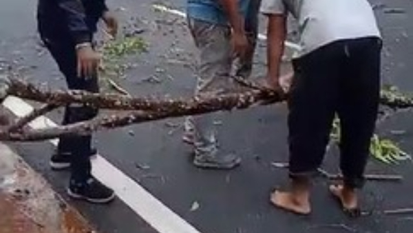 ರಸ್ತೆ ತೆರವು ವೇಳೆ ಬೈಂದೂರು ಶಾಸಕರ ಮೇಲೆ ಉರುಳಿದ ಮರ: ಗುರುರಾಜ್ ಗಂಟಿಹೊಳೆ ಜಸ್ಟ್‌ ಮಿಸ್‌ | Tree Fall Down ...